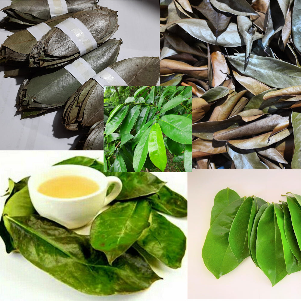 Win Mart E Zone | Unlock the Power of Ceylon Herbs for Natural Health ...